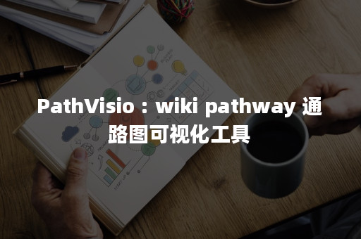 PathVisio : wiki pathway 通路图可视化工具-Apispace接口管理