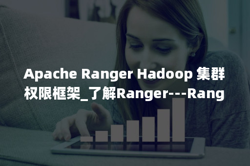 Apache Ranger Hadoop 集群权限框架_了解Ranger---Ranger工作笔记001-Apispace