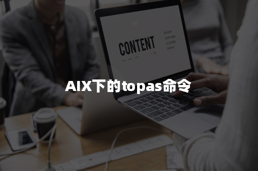AIX下的topas命令-Apispace