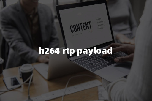 h264 rtp payload-Apispace
