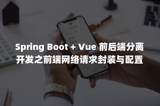 Spring Boot Vue 前后端分离开发之前端网络请求封装与配置 Apispace