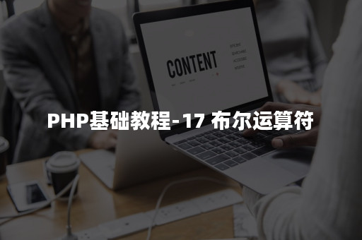 Php基础教程 17 布尔运算符 Apispace接口管理
