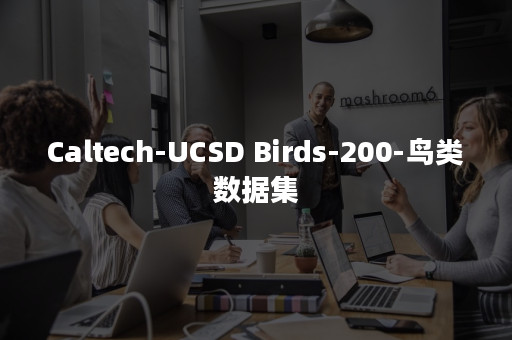 Caltech-UCSD Birds-200-鸟类数据集-Apispace接口管理